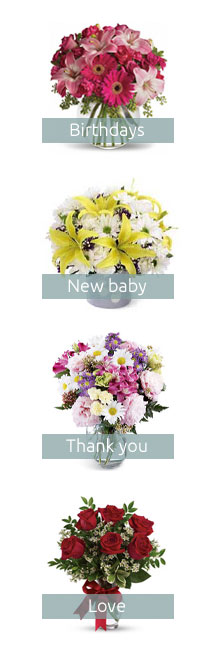 Florist In Greer Sc 🏵️ May 2026